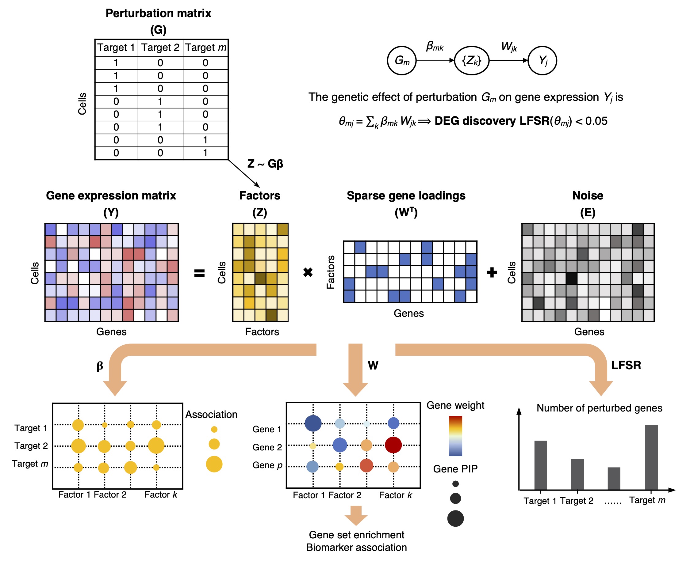 Guided Sparse Factor Analysis Project